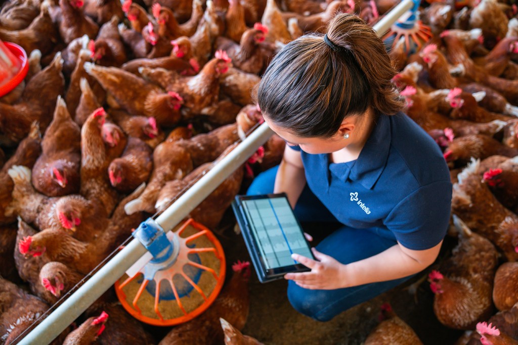 Digital Farming Solutions - Empowering Poultry Producers with Data ...
